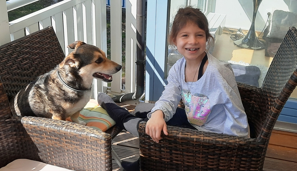 Royale Corgi-Korrespondenz | Amper-Kurier