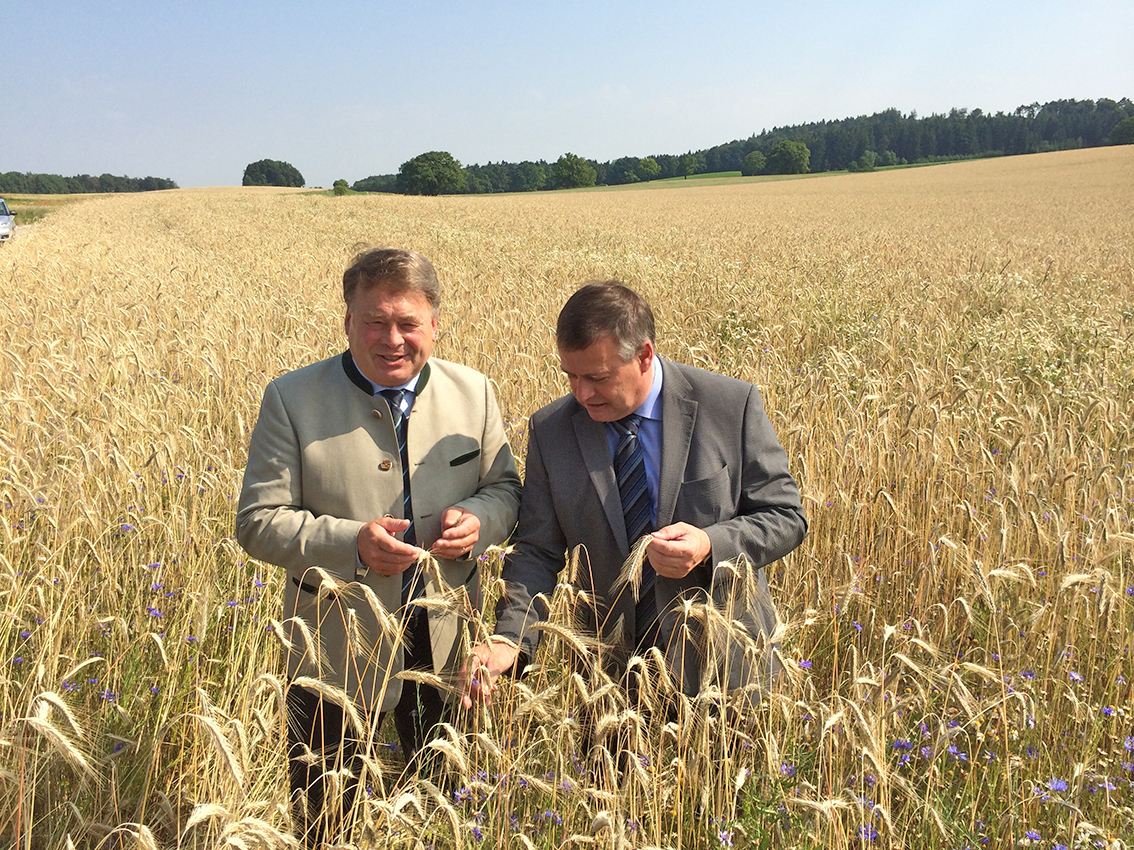 Gute Ernte bei den Landwirten | Amper-Kurier